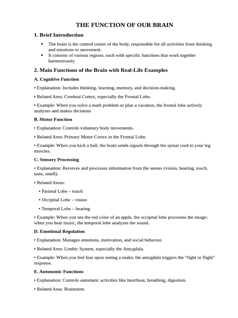 The Function of Our Brain | PDF