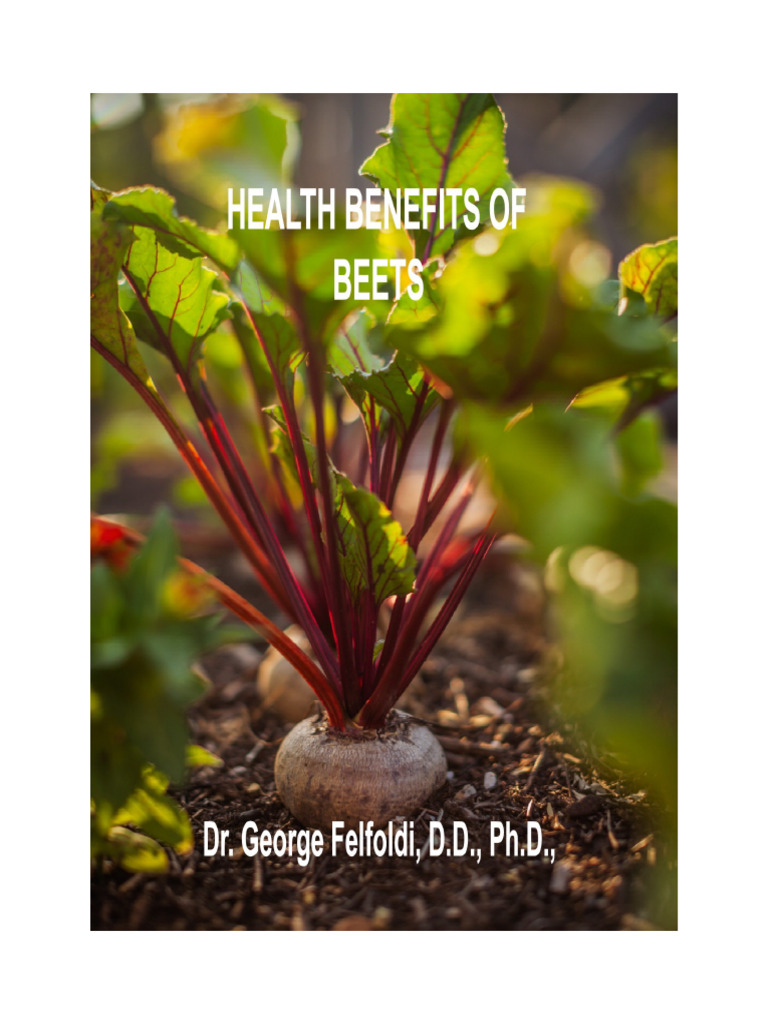 Health Benefits of Beets Explained | PDF | Beetroot