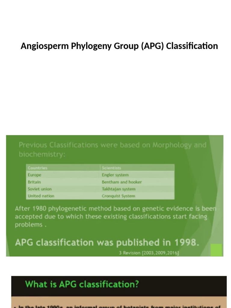 APG System | PDF