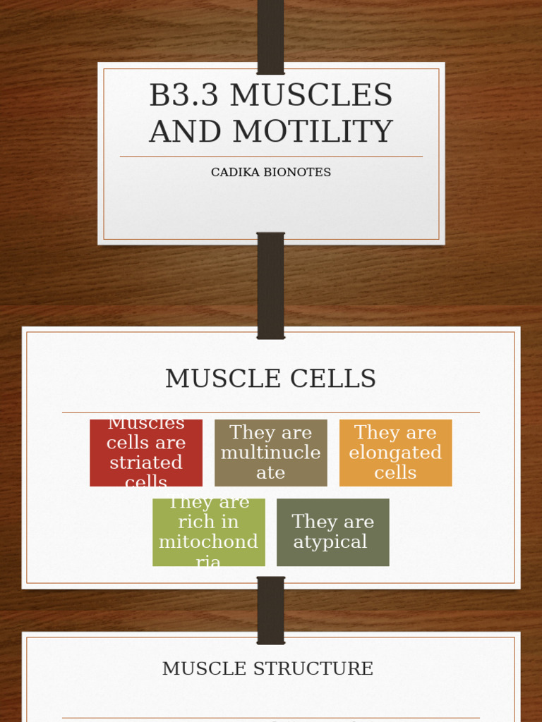 Muscles Contraction | PDF | Muscle Contraction | Cell Anatomy