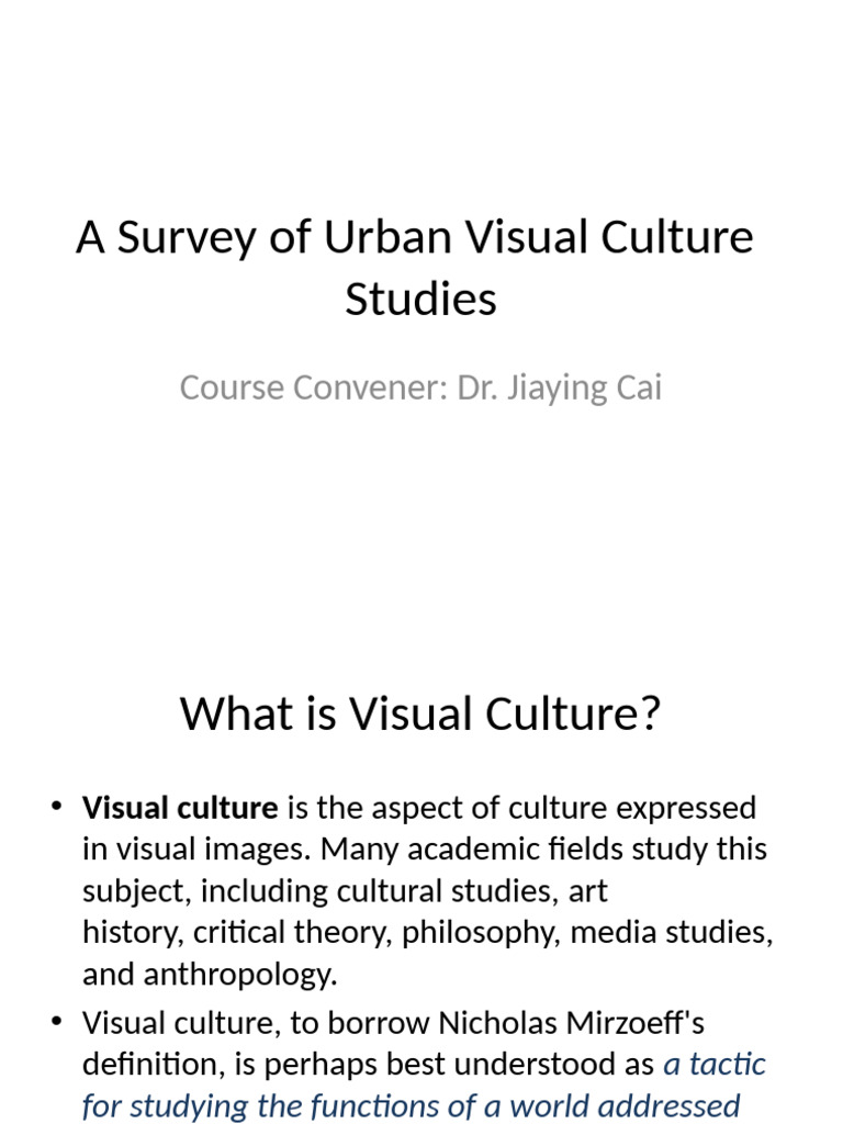 A Survey of Urban Visual Cultural Studies 2 | PDF | Image | Graphic Design