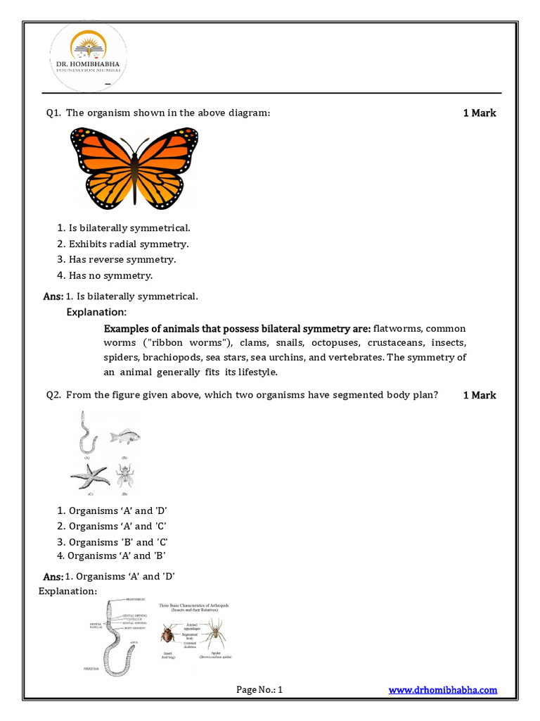 Class9 Science Diversity in Living Organisms Worksheet A | PDF ...