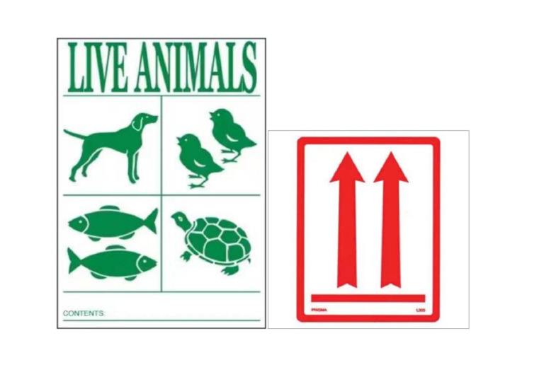 AVI Label | PDF
