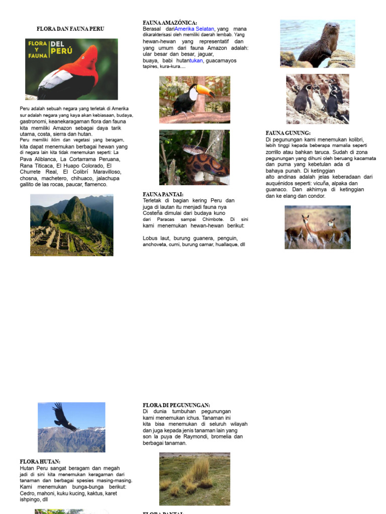 Keanekaragaman Fauna dan Flora Peru | PDF