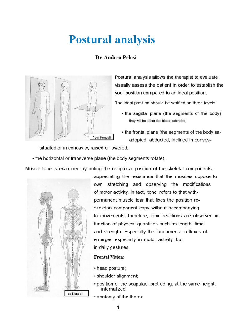 Comprehensive Guide to Postural Analysis | PDF | Pelvis | Anatomical ...