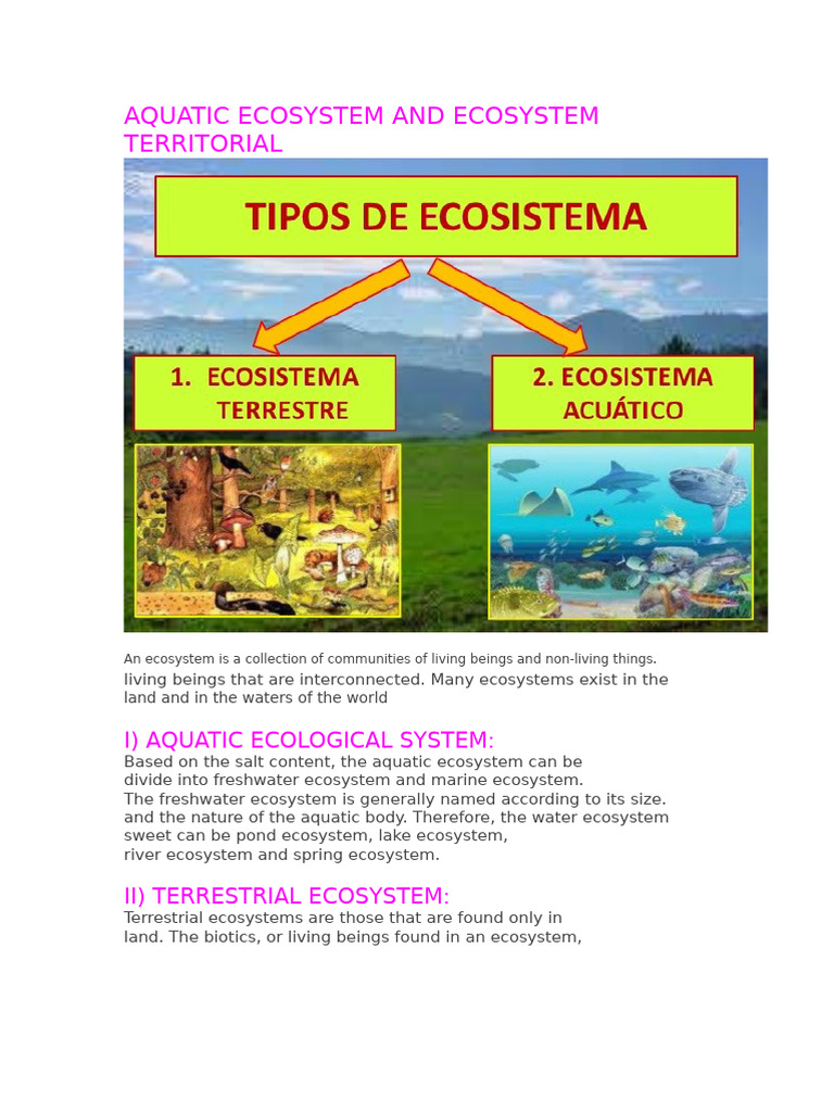 Aquatic and Terrestrial Ecosystems Explained | PDF | Ecosystem ...