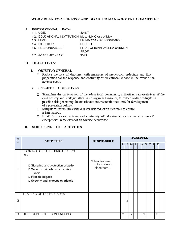 Work Plan For The Risk and Disaster Management Committee | PDF ...