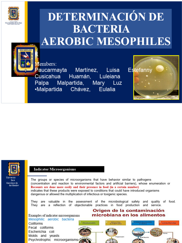 Determining Aerobic Mesophilic Bacteria | PDF | Agar | Food Preservation