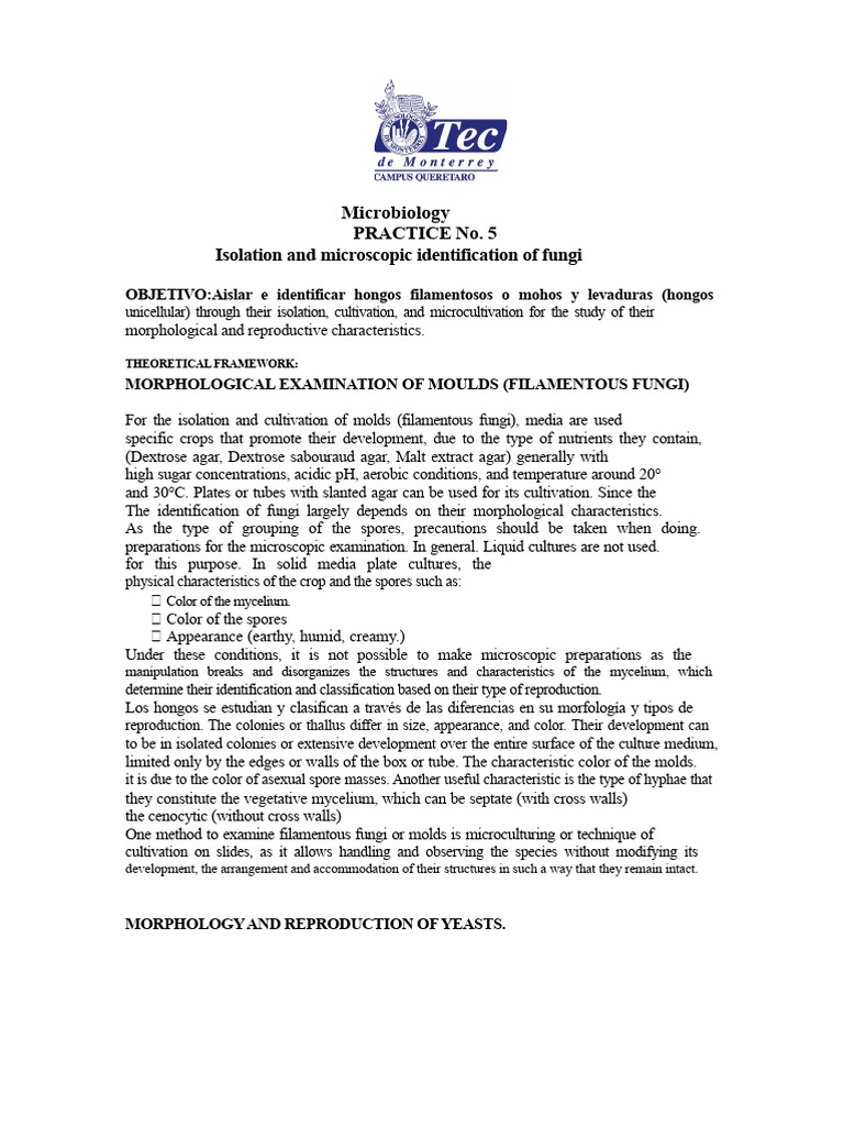 Fungal Isolation and Identification Guide | PDF | Fungus | Mold