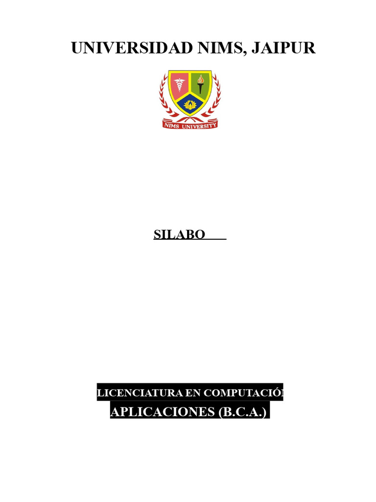 Universidad Nims, Jaipur: Silabo | PDF | Puntero (Programación de ...