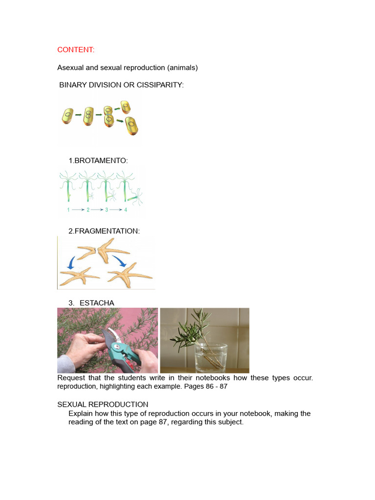 Activity II Isolation STUDENTS | PDF | Reproduction | Sexual Reproduction