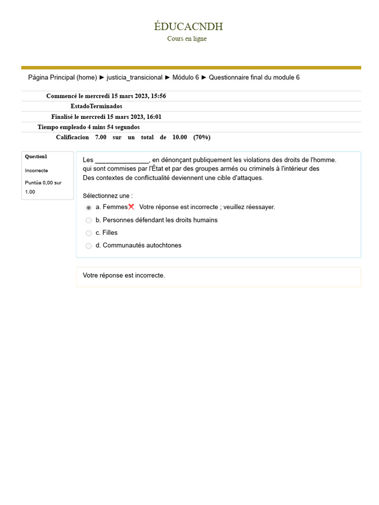 Questionnaire Final Du Module 6 PDF | PDF | Déplacés internes | Justice