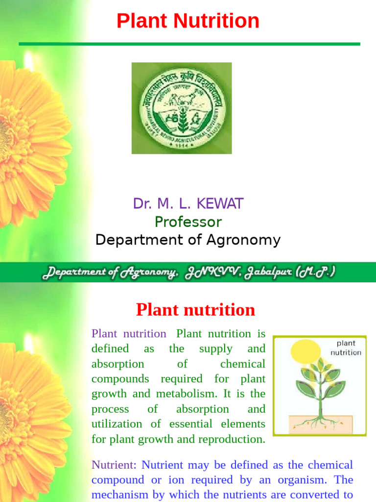 Essentials of Plant Nutrition Explained | PDF | Plant Nutrition | Soil