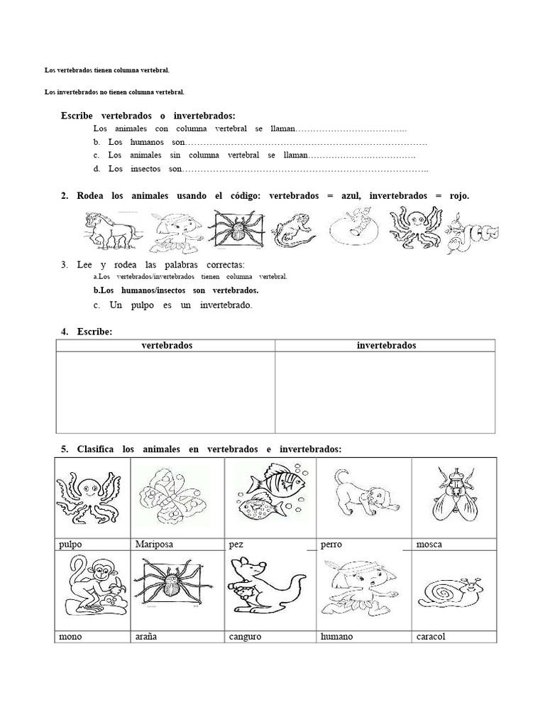 Vertebrados e Invertebrados: Clasificación Animal | PDF