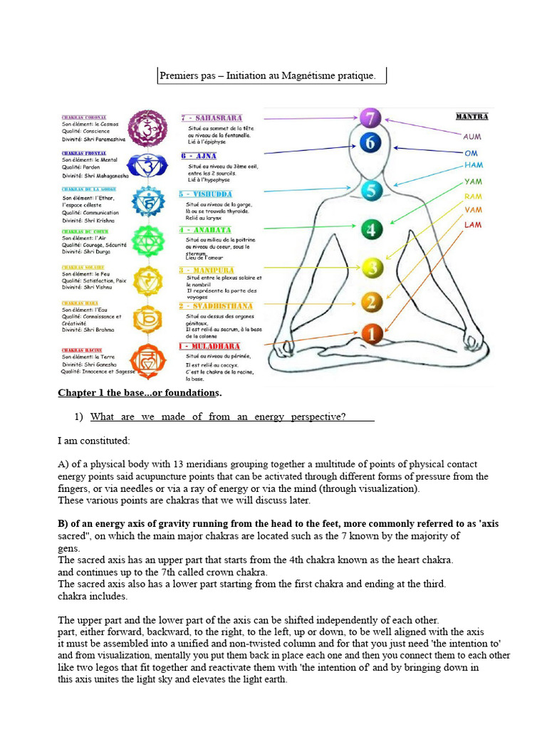 Introduction To Magnetism | PDF | Soul | Consciousness