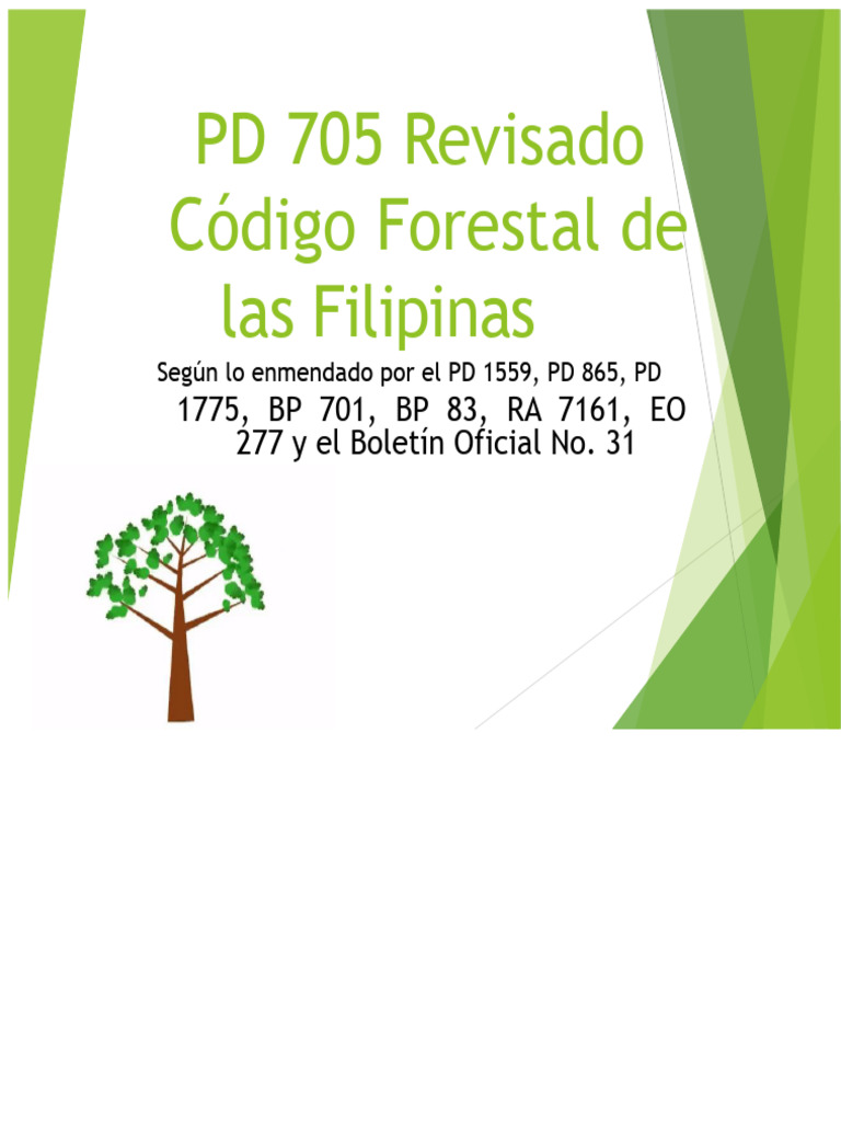 PD 705 Powerpoint | PDF | Los bosques | Deforestación