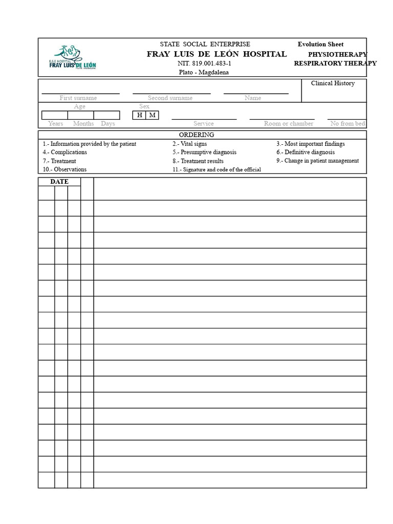 Physiotherapy Evolution Sheet | PDF