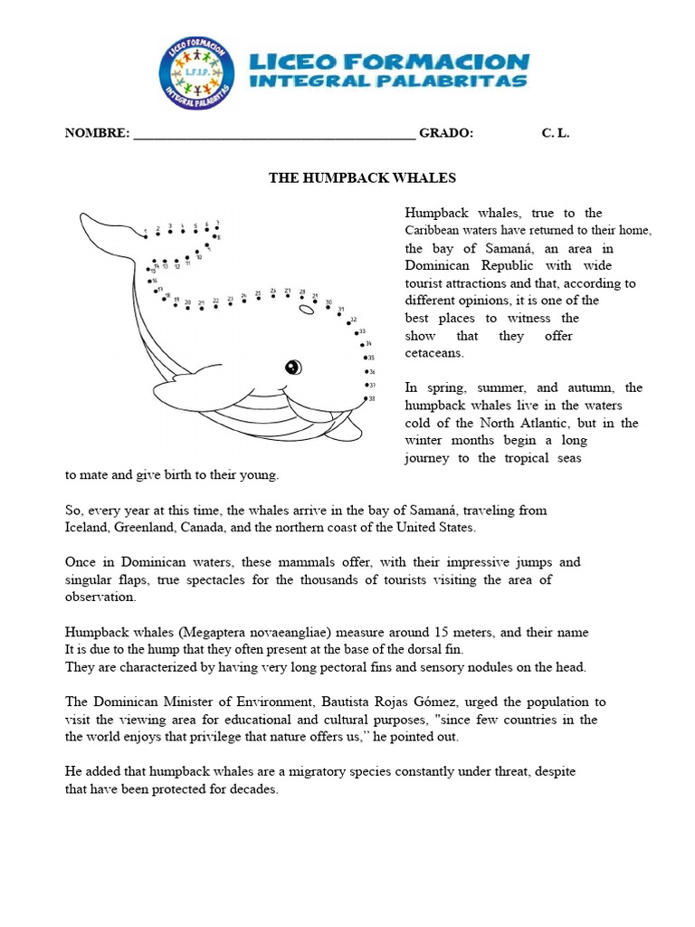READING COMPREHENSION HUMPBACK WHALES | PDF | Whales | Cetaceans