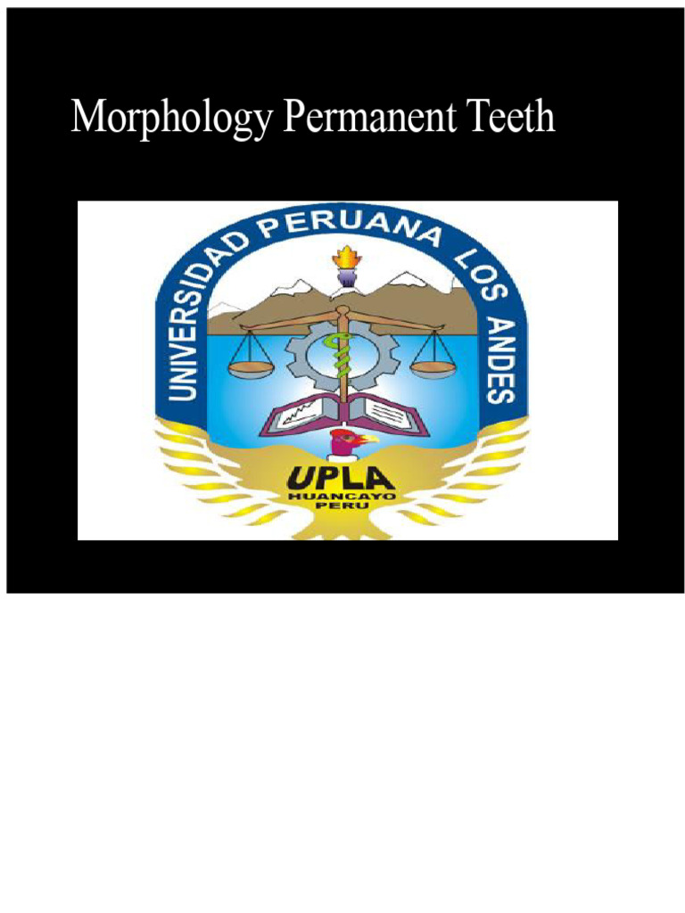 Anatomy of Permanent Teeth Morphology | PDF | Dental Anatomy | Tooth