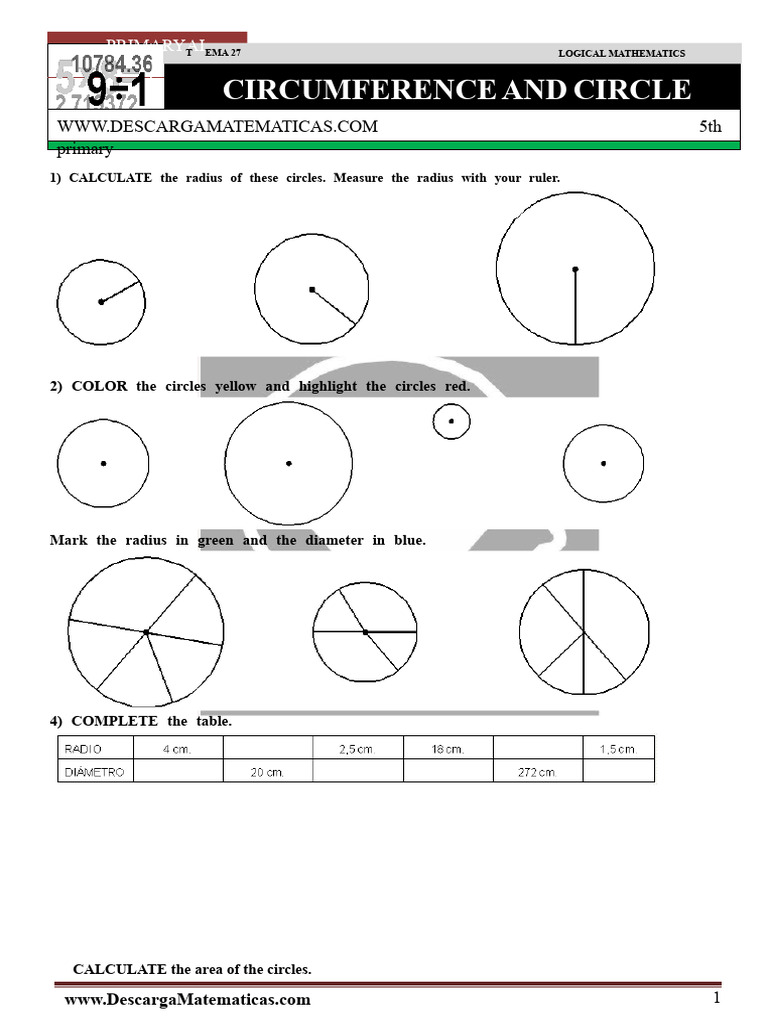 Circumference and Circle Exercises | PDF