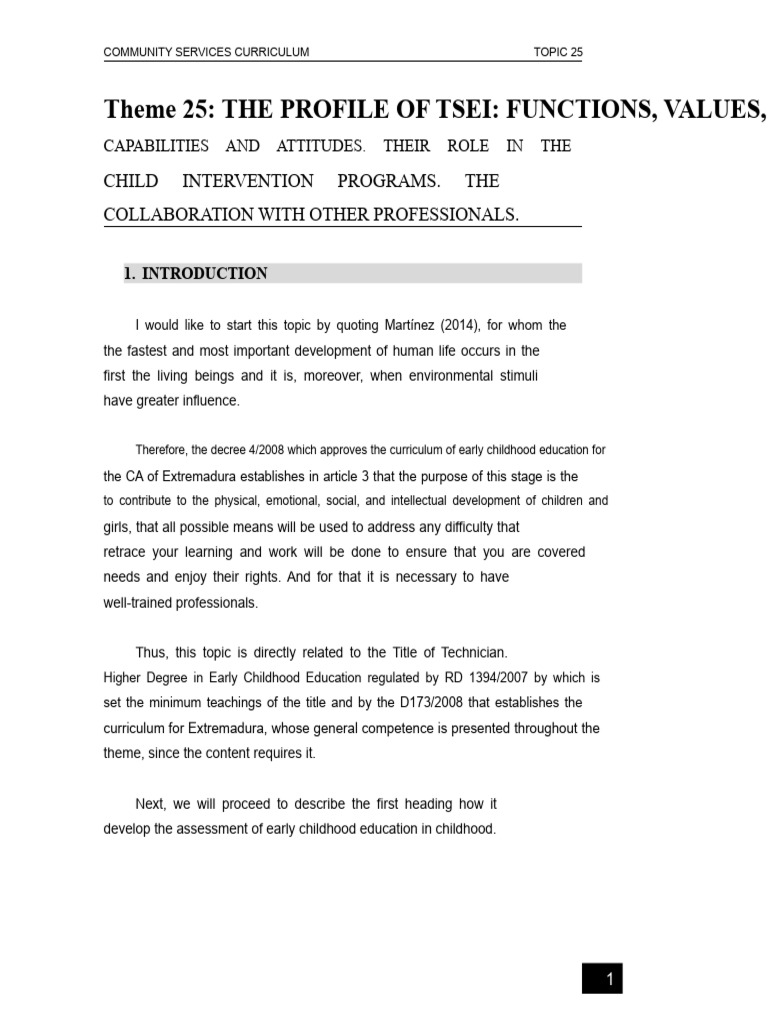 TSEI Profile in Child Intervention Programs | PDF | Early Childhood ...