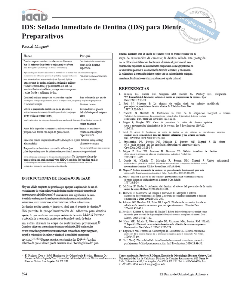 IDS Pascal Magne | PDF | Materiales