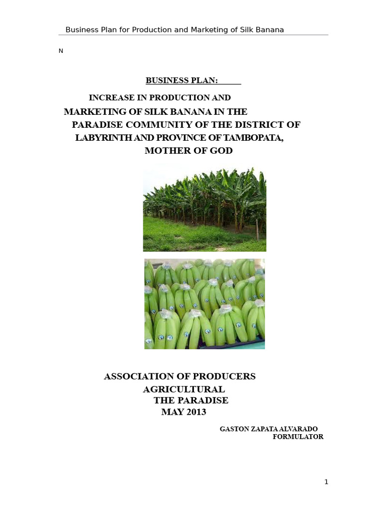 the paradise - Banana Business Plan.docx | PDF | Internal Rate Of ...