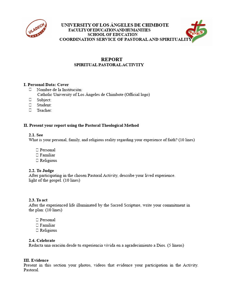 Pastoral Report Template | PDF
