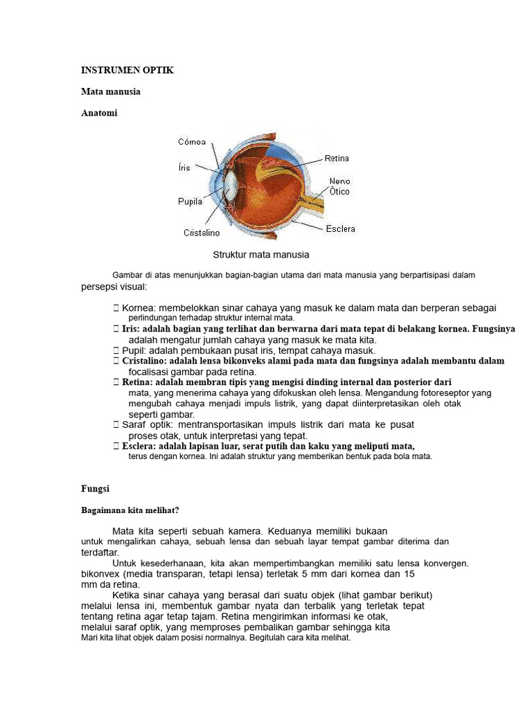 Struktur dan Fungsi Mata Manusia | PDF