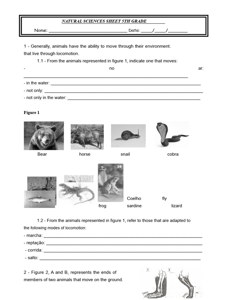 Nature Science Worksheet 5th Grade - ANIMAL LOCOMOTION | PDF | Fin ...
