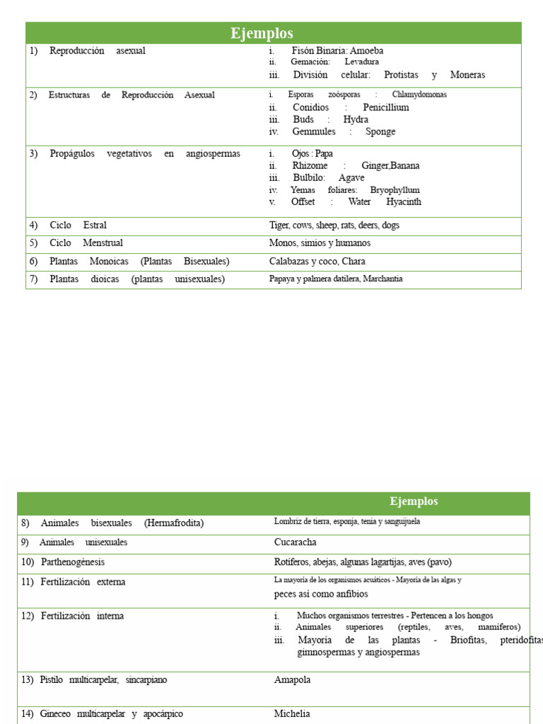ejemplos de NCERT | PDF | Articulación | Plantas