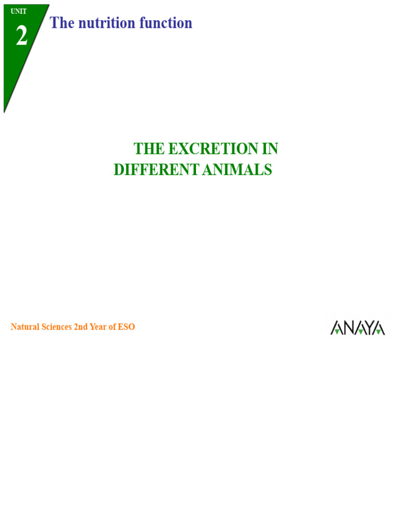 Presentation Excretion Animals | PDF | Excretion | Biology