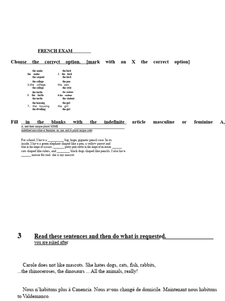 French Exam Practice Questions | PDF | Linguistics