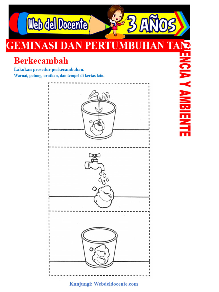 Proses Geminasi dan Pertumbuhan Tanaman | PDF