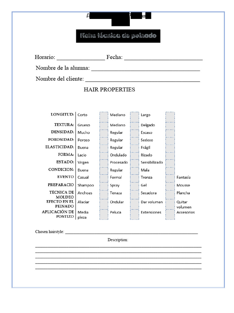 Technical Sheet of High Hairstyle | PDF