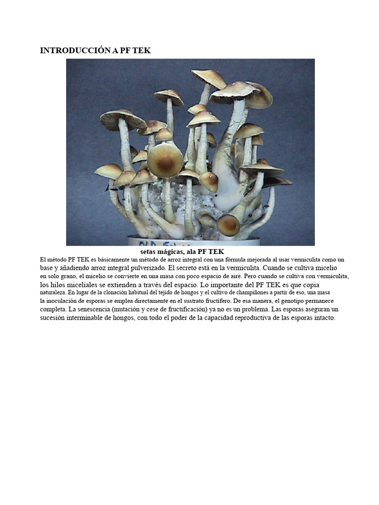 Expertos PF TEK | PDF | Seta | Agua