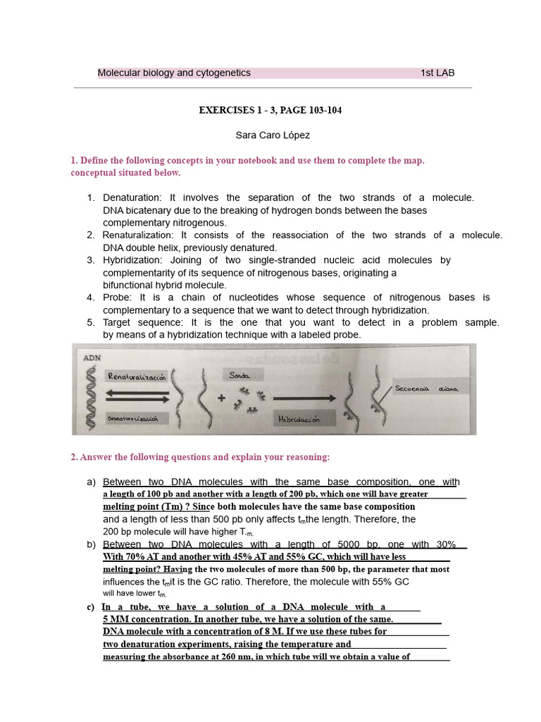 Biology Topic 4 Notebook | PDF | Denaturation (Biochemistry) | Dna