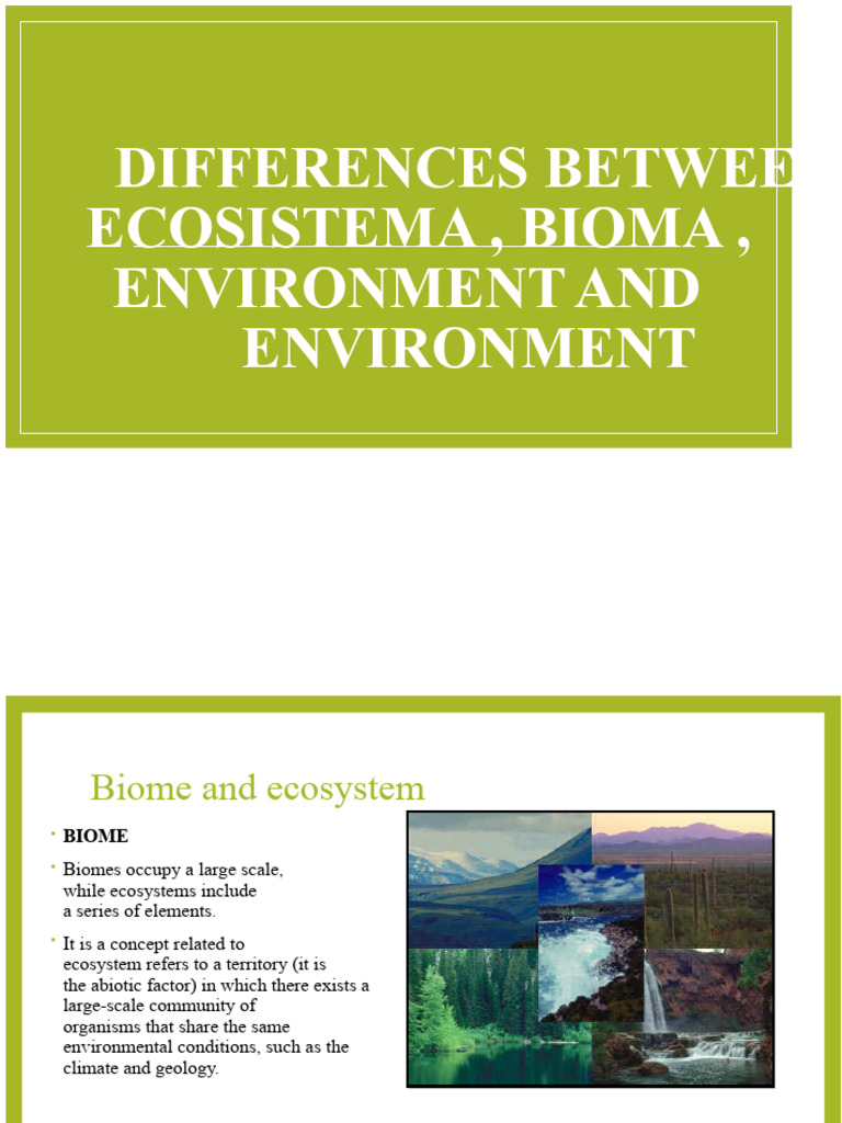 Ecosystem vs. Biome: Key Differences | PDF