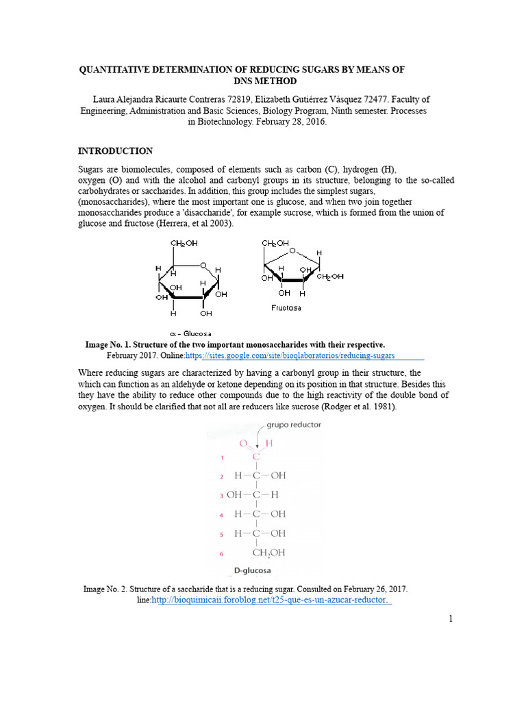 Reducing Sugars | PDF | Carbohydrates | Carbohydrate Chemistry