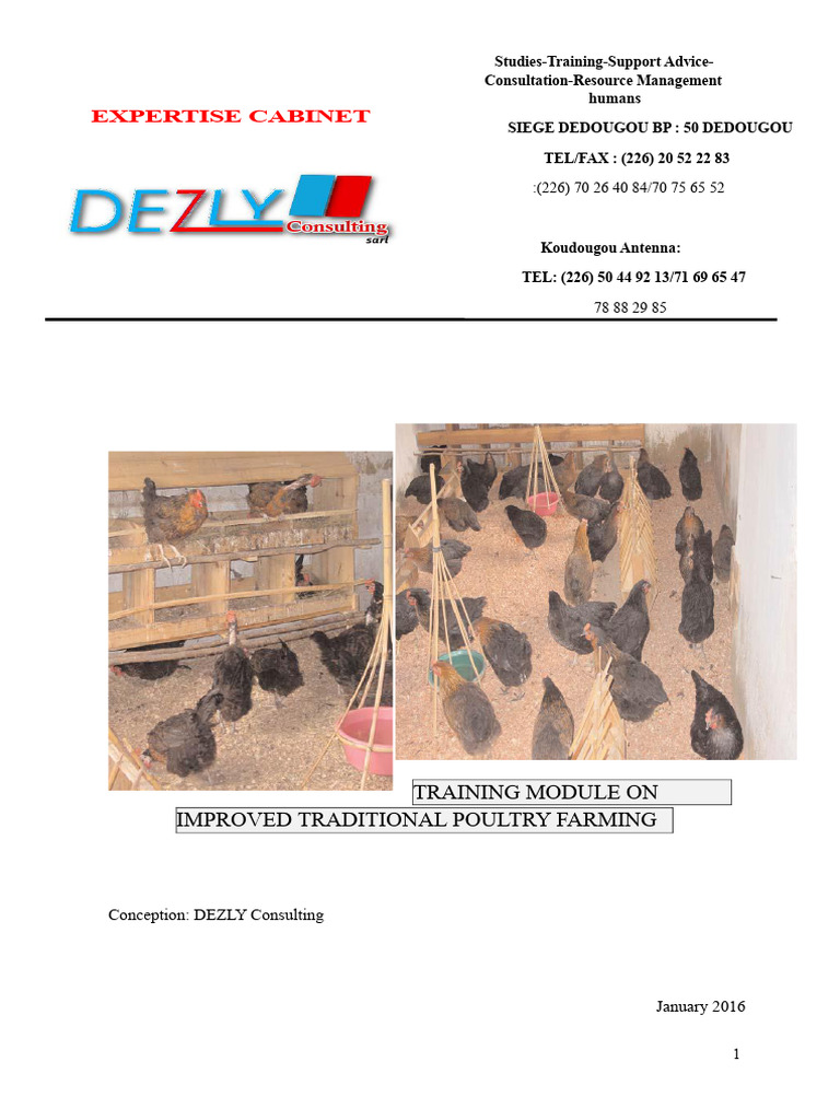 Improved Poultry Farming Guide | PDF | Poultry Farming | Chicken