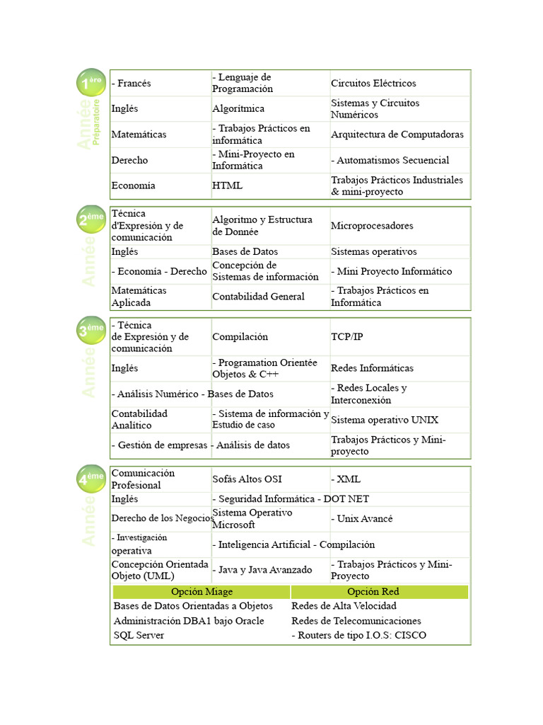 Programa EMSI | PDF | Informática | Ciencias de la Computación