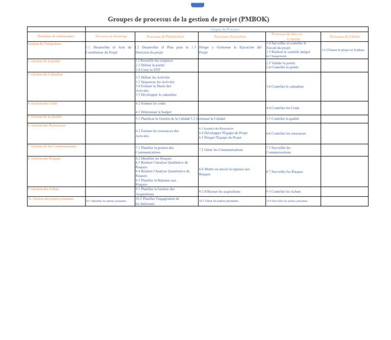 Tableau Des Processus PMBOK | PDF | Business | Direction