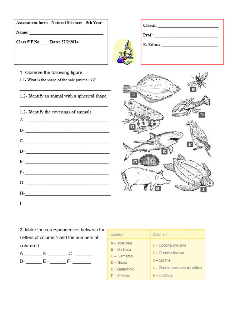 test shape and covering of animals 5th grade | PDF | Animal Locomotion ...