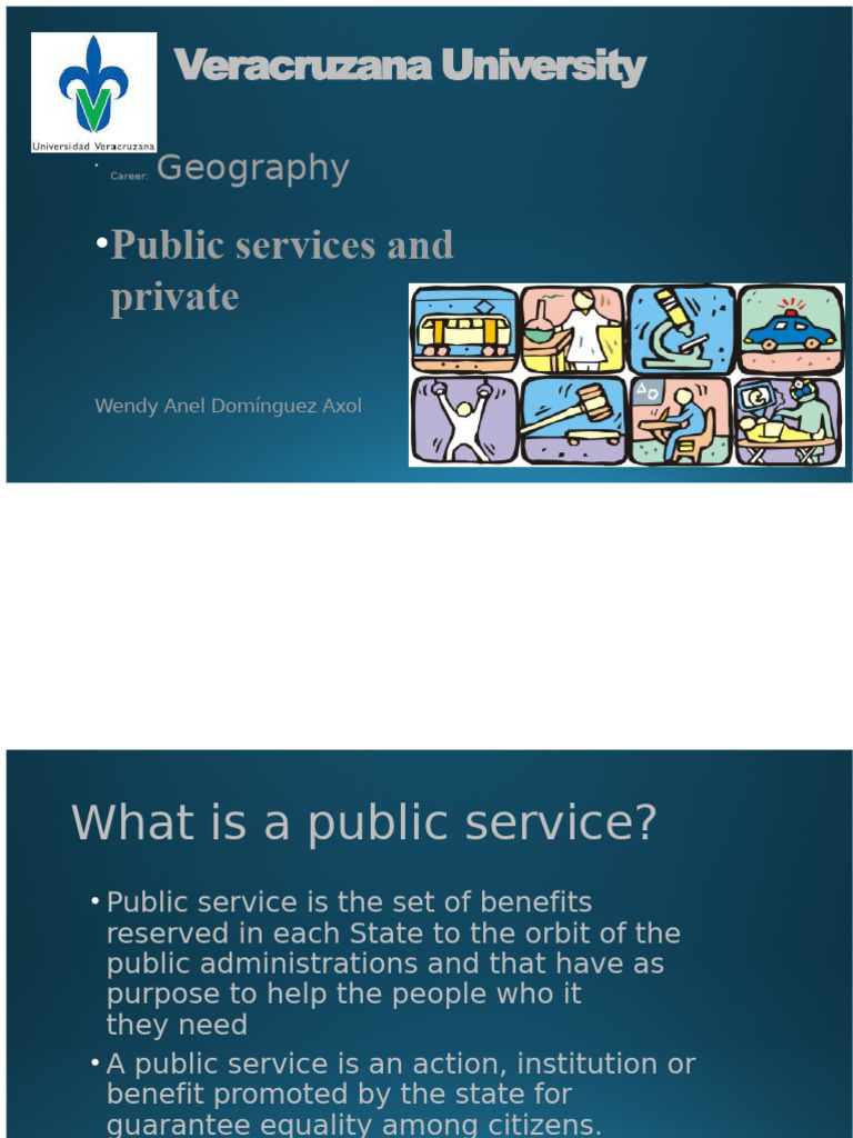 Understanding Public vs. Private Services | PDF | Business | Economies