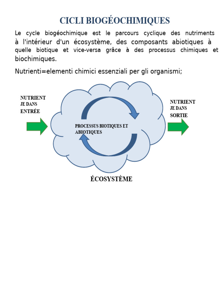 Comprendre les cycles biogéochimiques | PDF | Productivité primaire ...