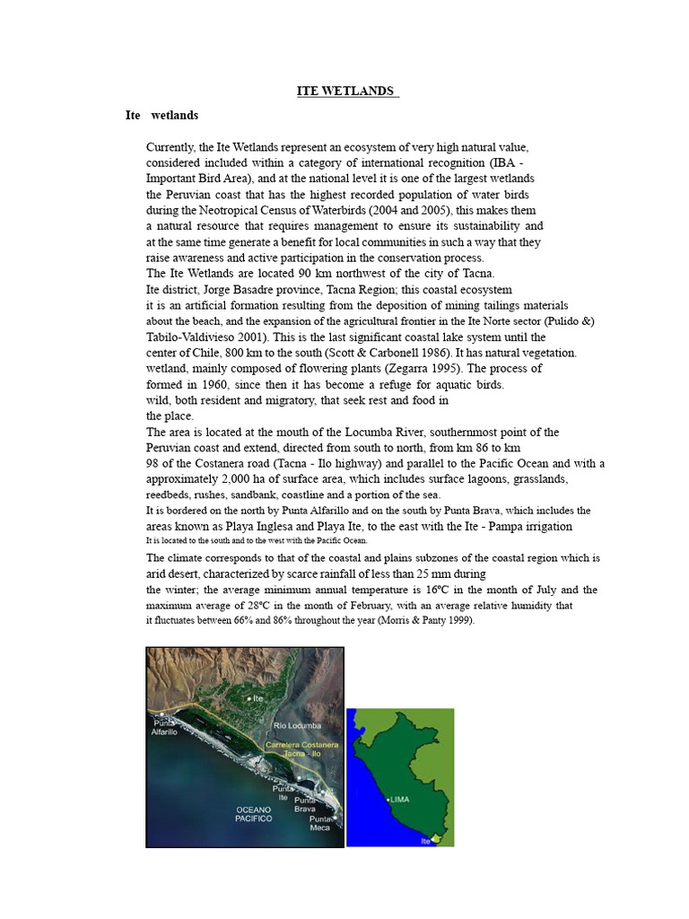 Ite Wetlands | PDF | Wetland | Peru