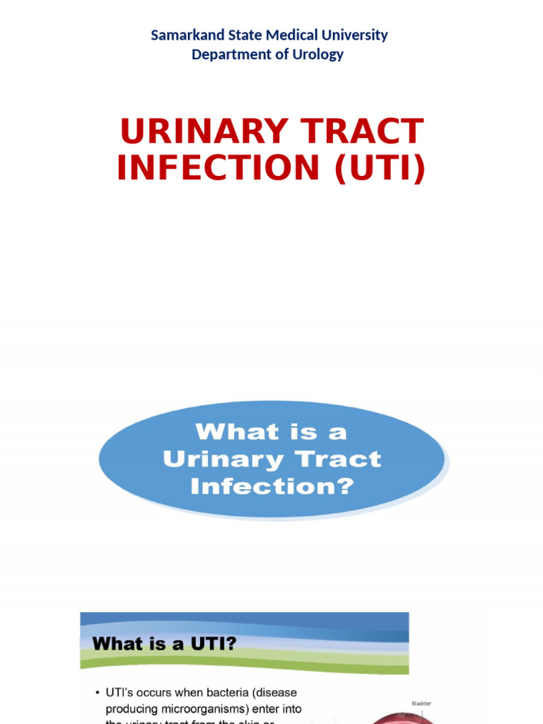 1st Lecture Urinary Tract Infection | PDF