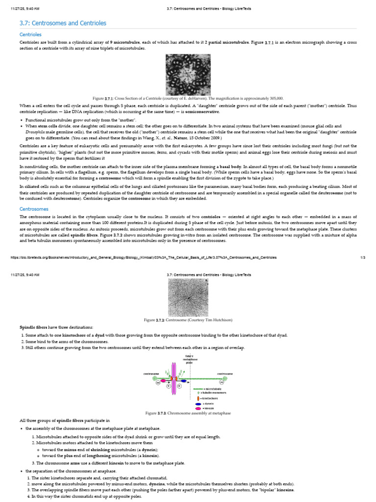 3.7 - Centrosomes and Centrioles - Biology LibreTexts | PDF ...