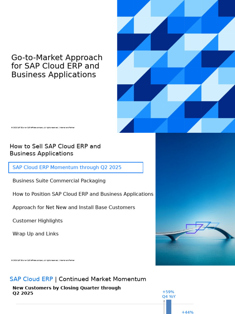 Selling SAP Cloud ERP Strategies | PDF | Enterprise Resource Planning ...