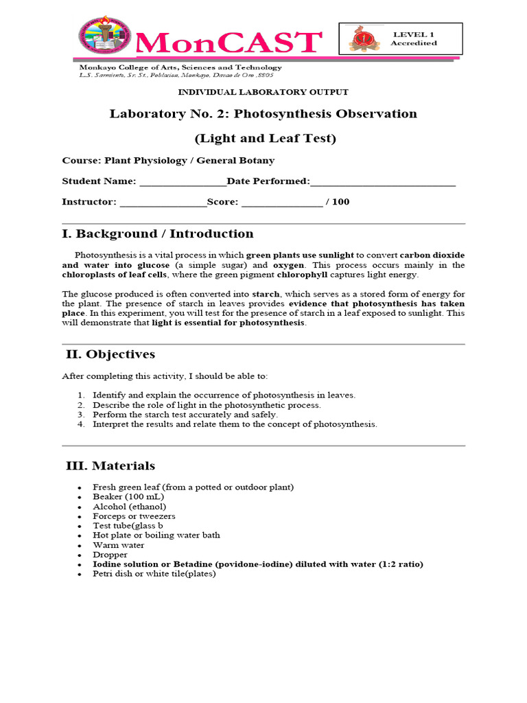 Laboratory 2 Light and Leaf Test | PDF | Photosynthesis | Leaf